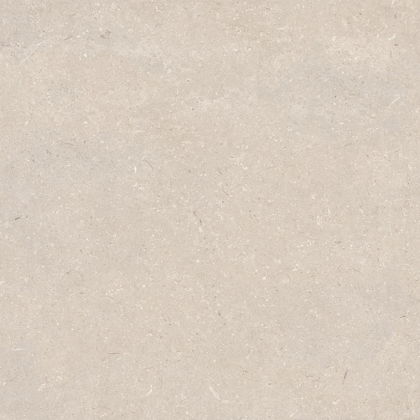Coral Caliza C-2(r10) L 120x120 – produs de calitate de la brandul ...